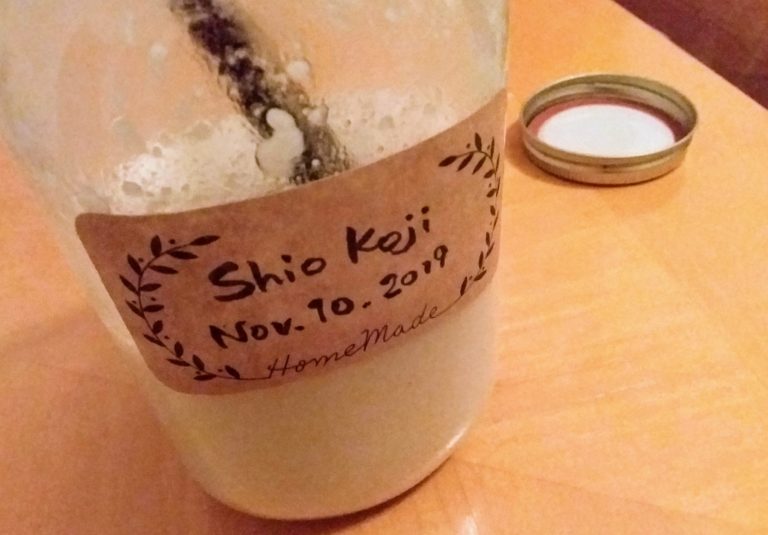 How to make Shio-koji, What is Shio-koji and How to use? | Fermented ...