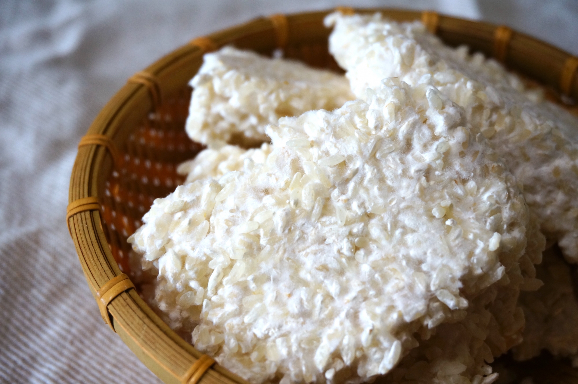 How to make Miso (Bean Paste): Homemaking Fermented soybean paste ...