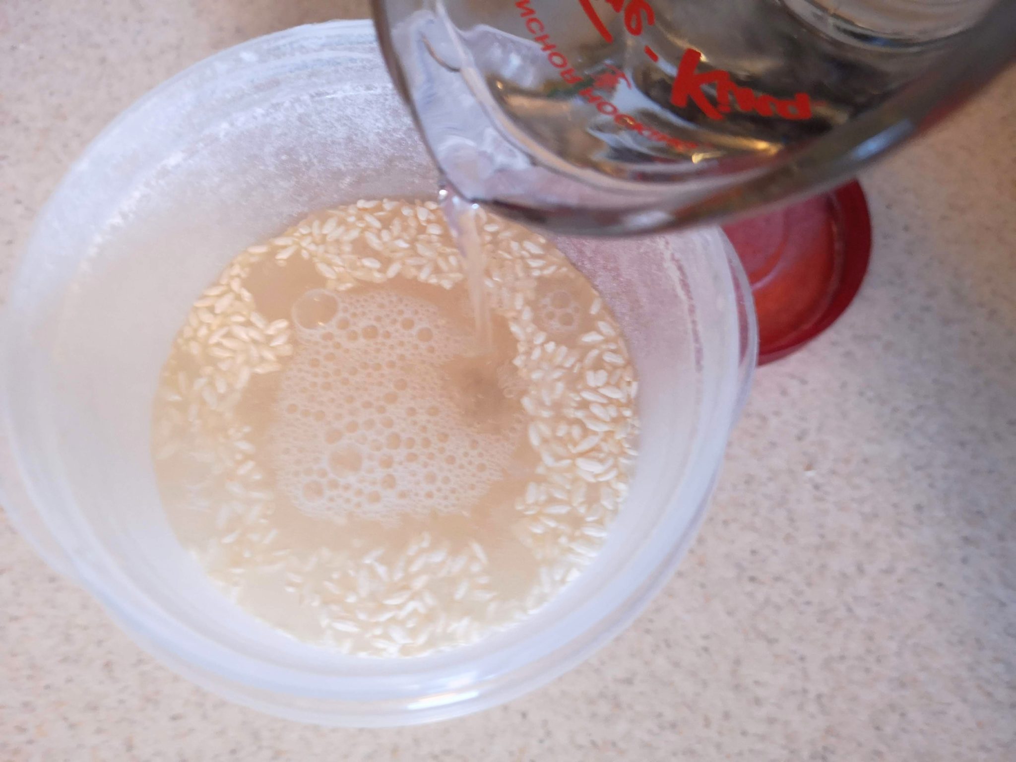 How to make Shio-koji, What is Shio-koji and How to use? | Fermented ...