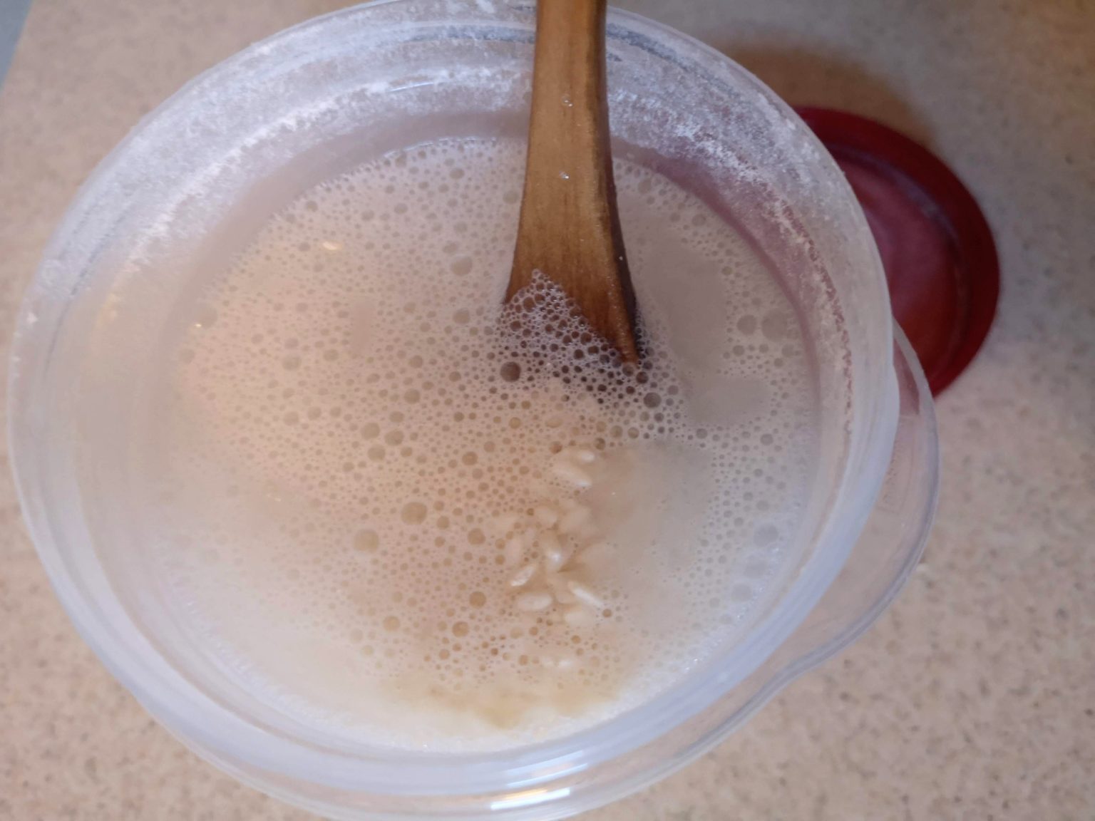 How to make Shio-koji, What is Shio-koji and How to use? | Fermented ...