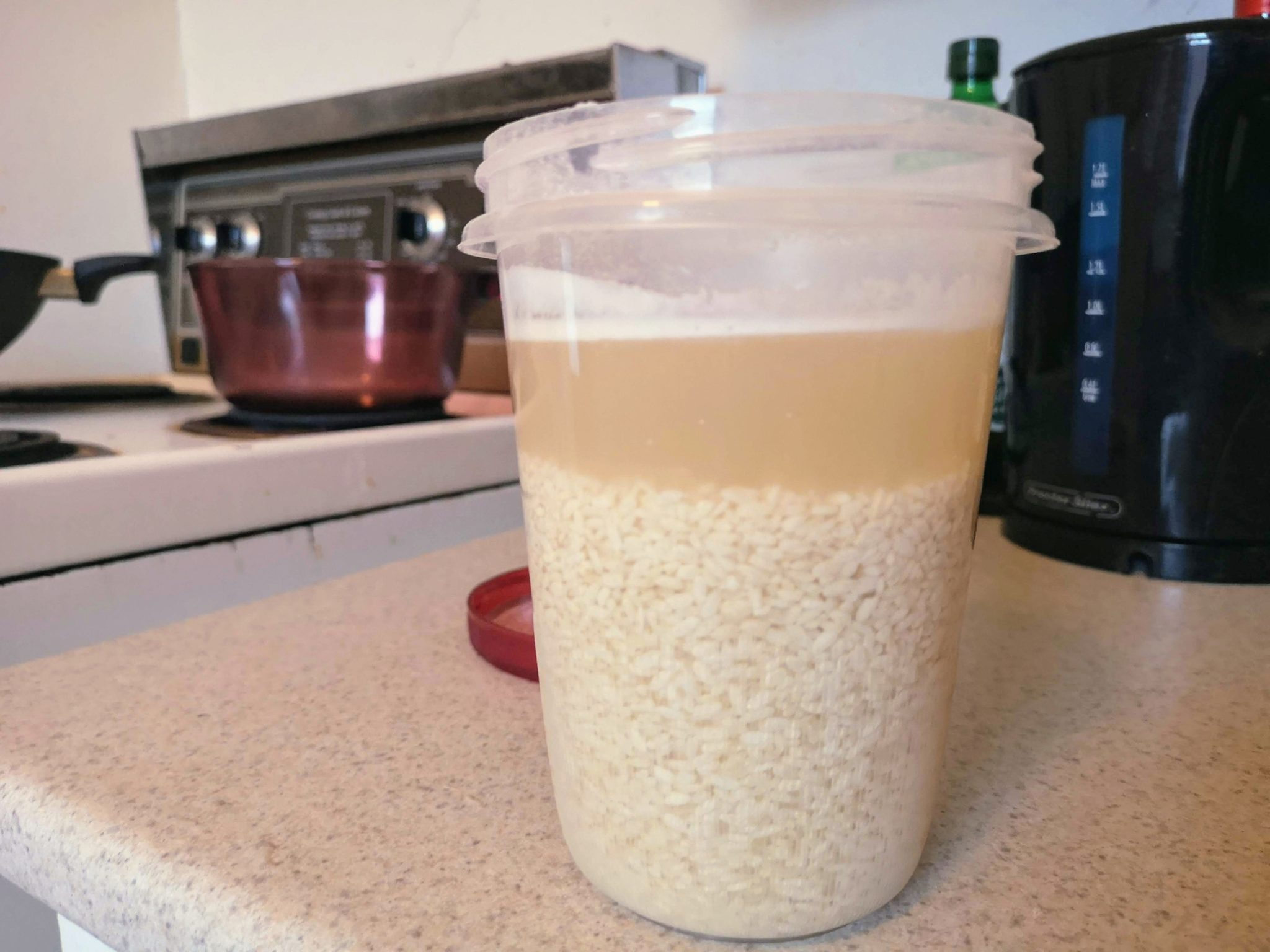 How to make Shio-koji, What is Shio-koji and How to use? | Fermented ...
