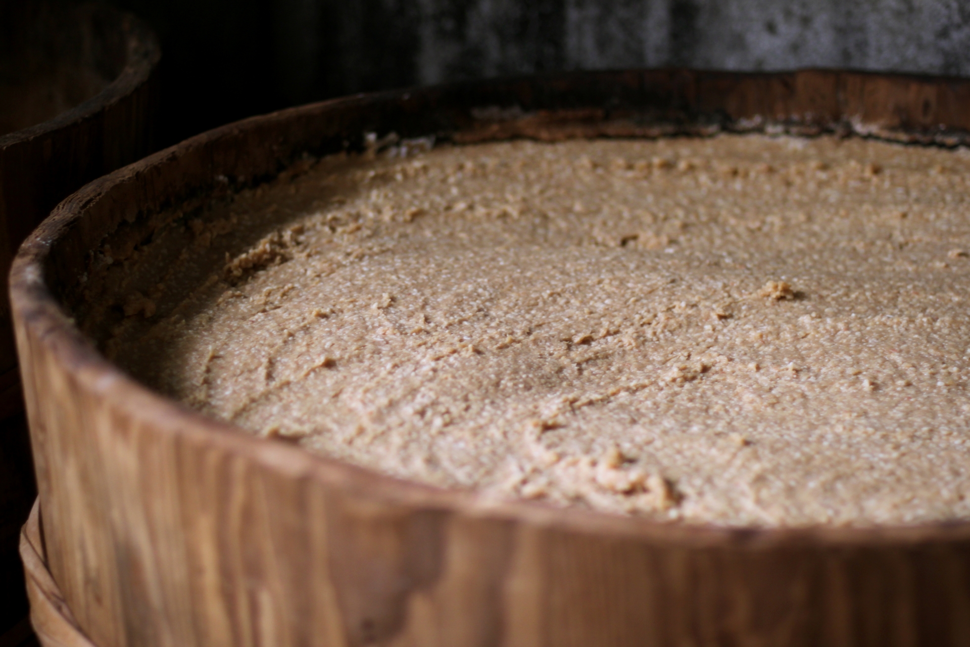 How to make Miso (Bean Paste): Homemaking Fermented soybean paste ...